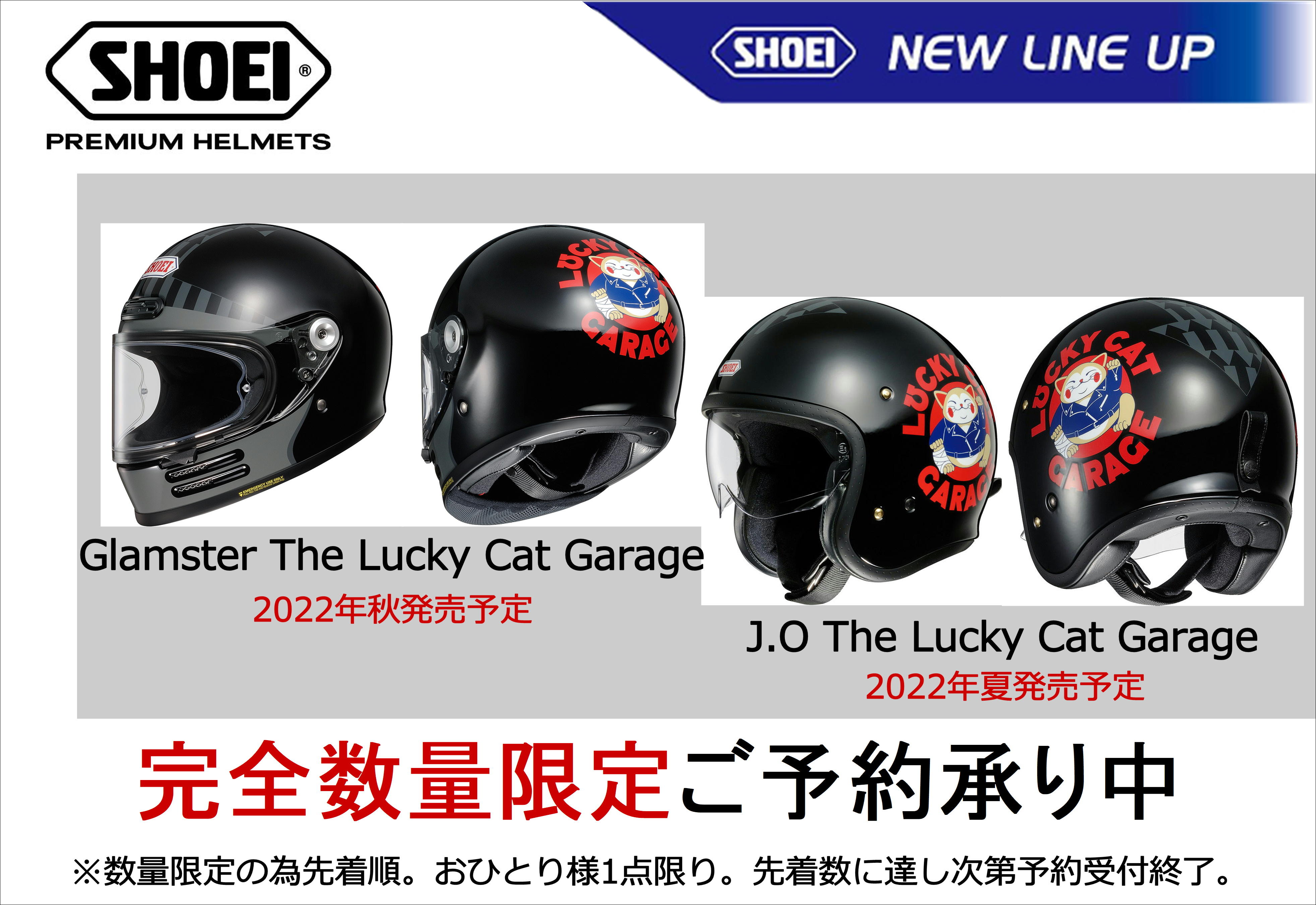 XANADU 国内500個限定 SHOEI ex-zero - nimfomane.com